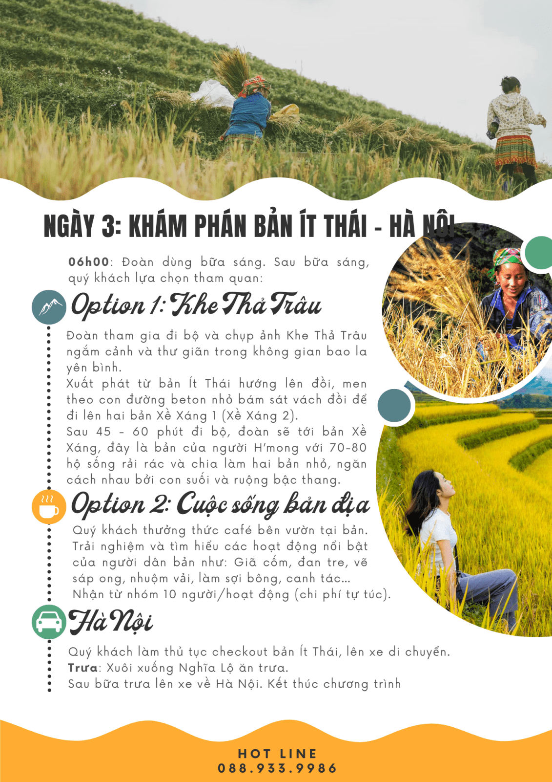 Mùa vàng Mù Cang Chải - SGO Travel DMC