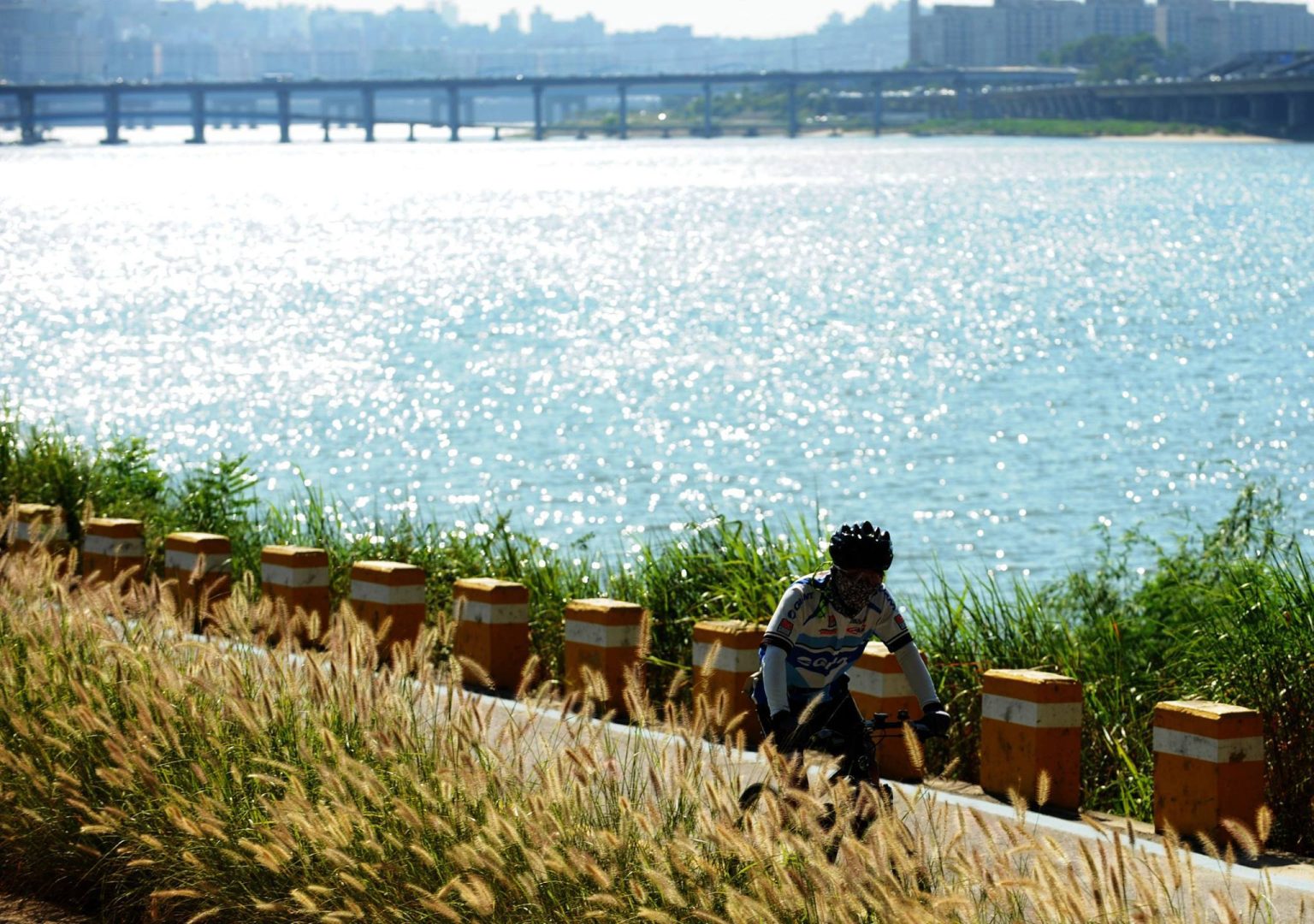 Trang chủ - SGO Travel DMC